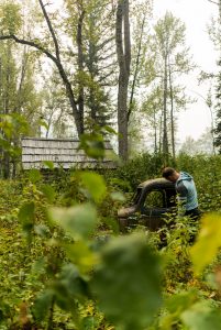 Day Trips - Likely BC