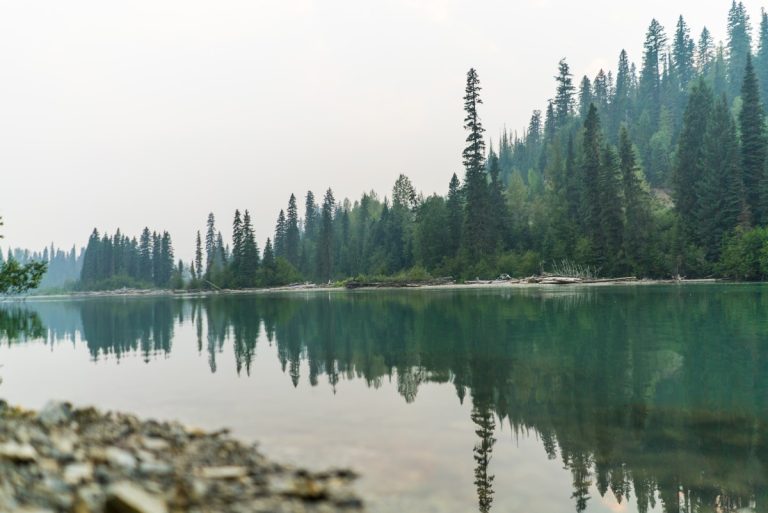 Day Trips - Likely BC